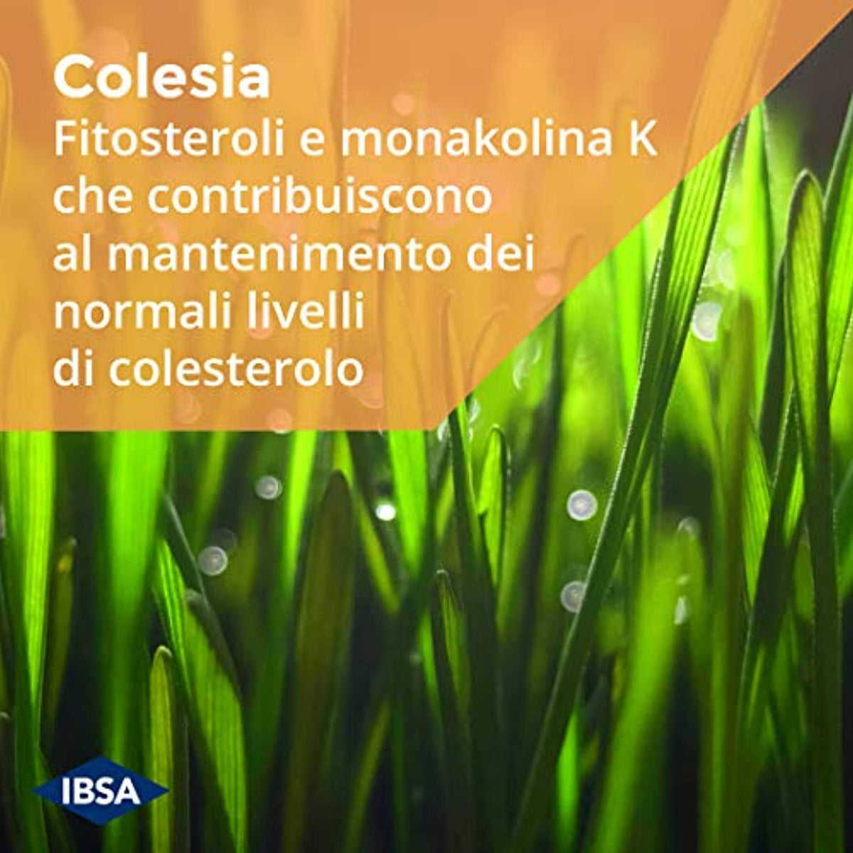 IBSA Colesia Soft Gel 30 Capsule Molli Made in Italy Integratore Alime ...